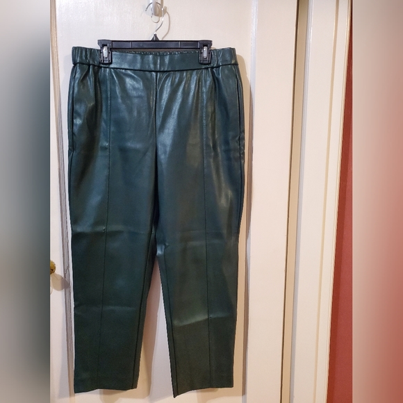 Ann Taylor | Pants & Jumpsuits | Anne Taylor Emerald Leather Pants ...